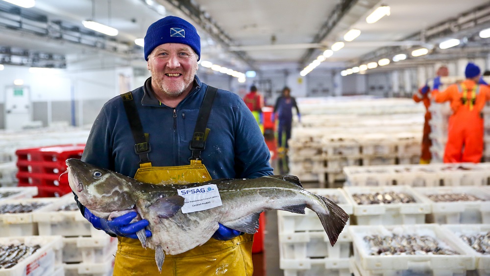 British cod is labelled sustainable for the first time in 20 years ...